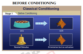 Learning principles – classical conditioning, operant conditioning ...