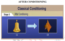 Learning principles – classical conditioning, operant conditioning ...