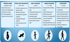 Introduction to child development – meaning of growth and development ...