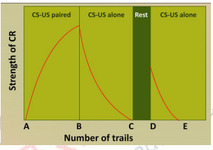 Learning principles – classical conditioning, operant conditioning ...