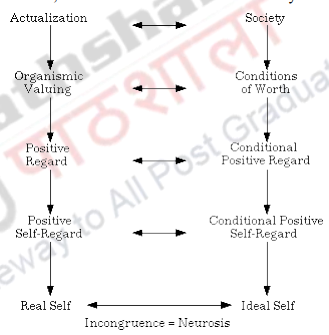 Positive communication and positive action: Carl Rogers and Rogerian ...