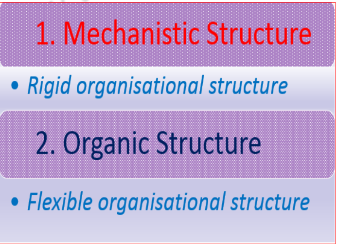 Strategy Implementation in Individual Firm – Entrepreneurship development