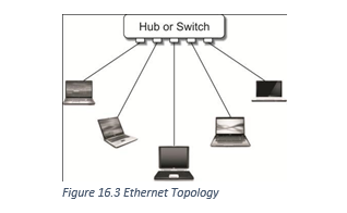 The Medium Access Sublayer: Ethernet – Introduction to Computer ...