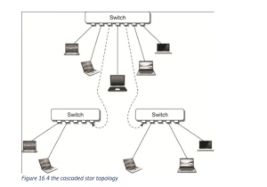 The Medium Access Sublayer: Ethernet – Introduction to Computer ...