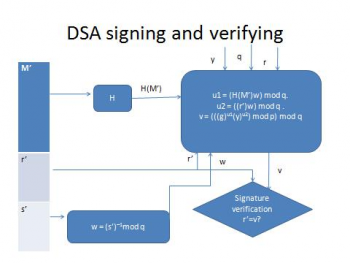 Digital Signature Algorithm – Information Security