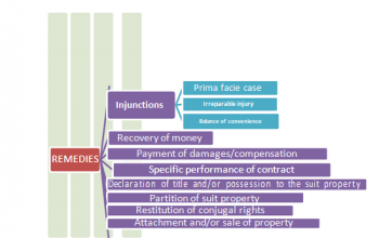 Civil Court Process – Judicial Process and Administration
