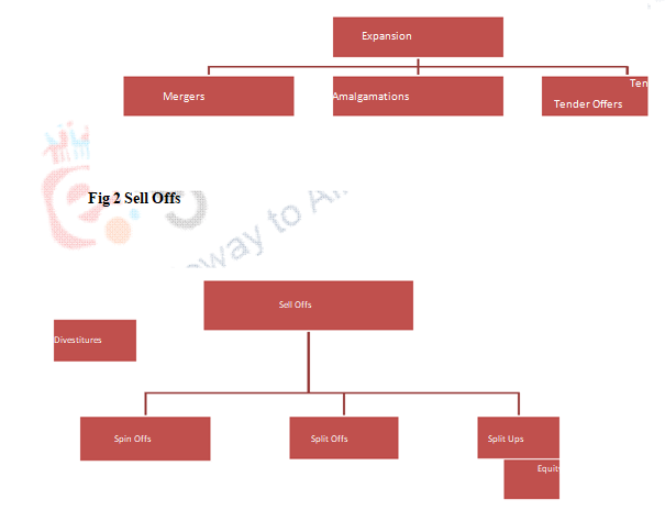 Compromise, Arrangement, Reconstruction, Amalgamation and Merger of ...