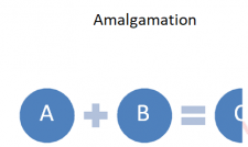 Compromise, Arrangement, Reconstruction, Amalgamation and Merger of ...