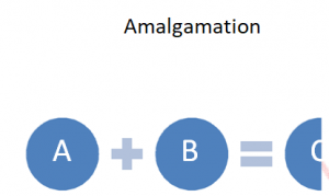 Compromise, Arrangement, Reconstruction, Amalgamation and Merger of ...