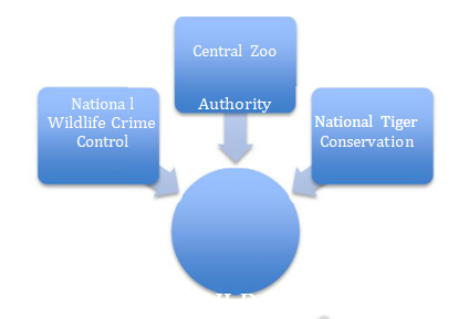 Wildlife Protection – Environmental Law