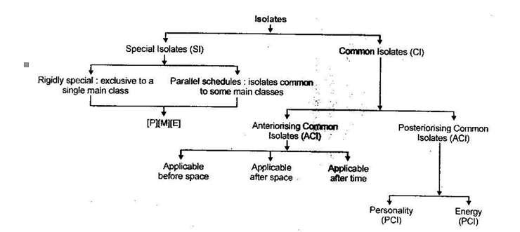 Isolates and auxiliaries: common and special isolates; standard ...
