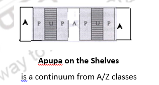 Introduction to major classification systems: structure and features of ...