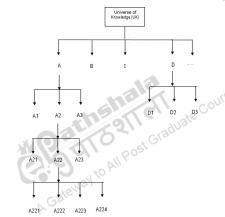 Work in the idea plan: formation of arrays and chains – Knowledge ...