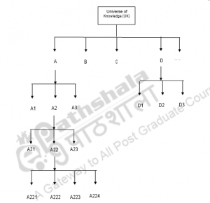 Work in the idea plan: formation of arrays and chains – Knowledge ...