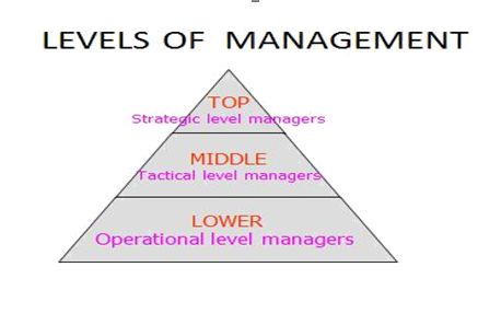 Management Information Systems – Management of Libraries and ...