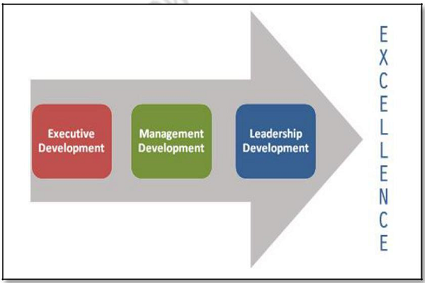 Employee Training and Executive Development II – Human Resource Management