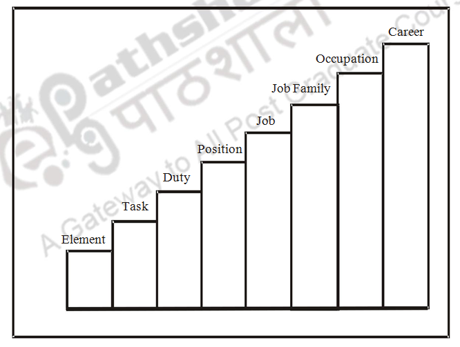 Job Analysis – Human Resource Management