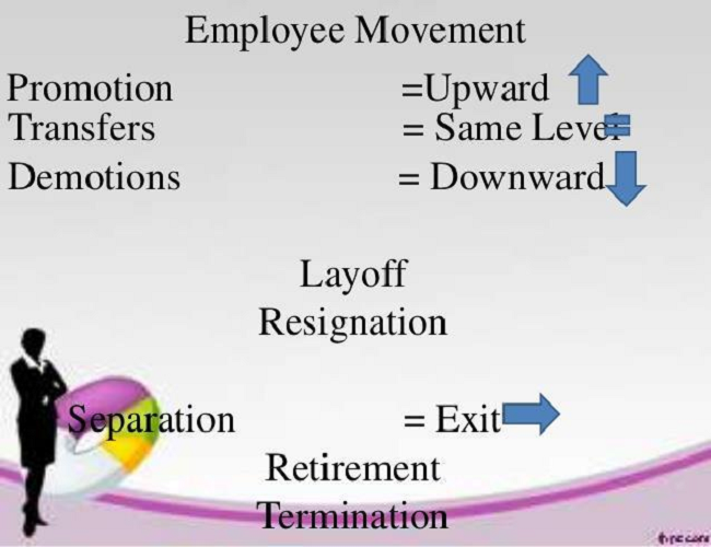 Promotions, transfers and separations – Human Resource Management