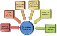 Performance Appraisal – Human Resource Management