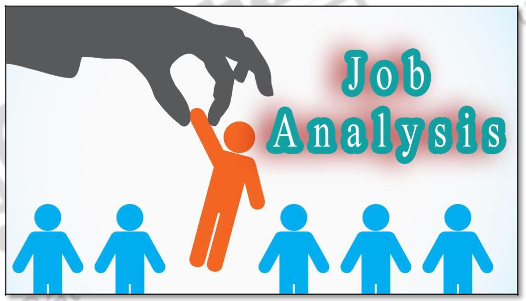 Job Analysis – Human Resource Management