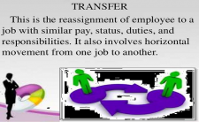 Promotions, transfers and separations – Human Resource Management