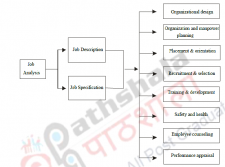 Job Analysis – Human Resource Management