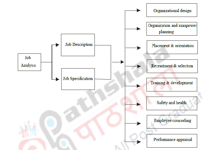 Job Analysis – Human Resource Management