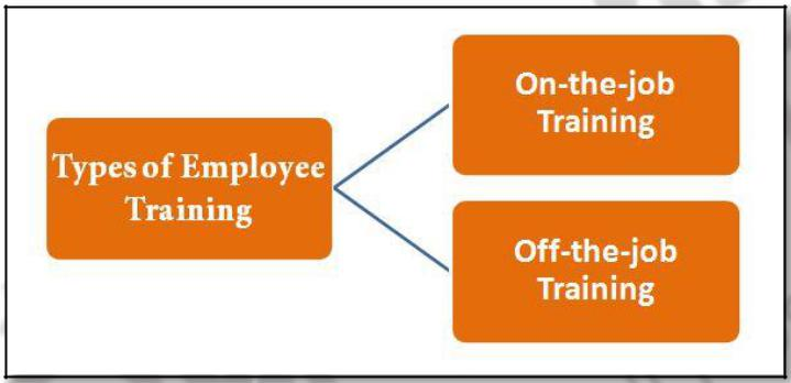 Employee Training and Executive Development I – Human Resource Management