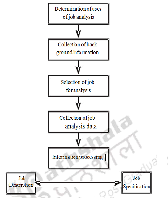 Job Analysis – Human Resource Management