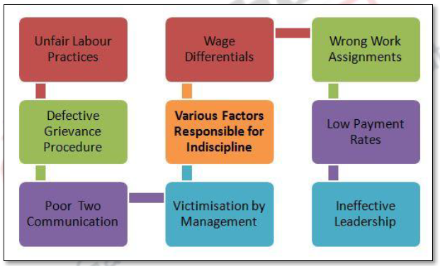 Discipline – Human Resource Management