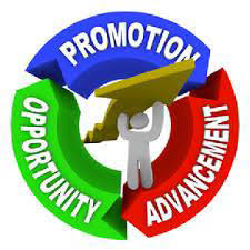 Promotions, transfers and separations – Human Resource Management