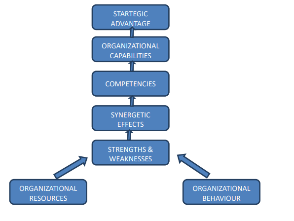 Strategic Competence And Capability Analysis – Strategic Management