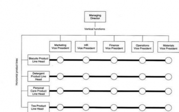 Structural Implementation – Strategic Management