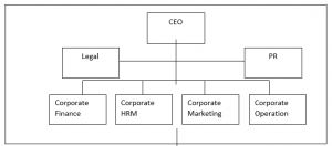 Structural Implementation – Strategic Management