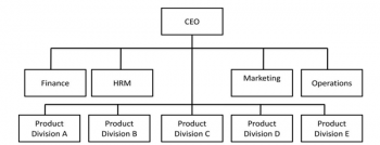 Structural Implementation – Strategic Management