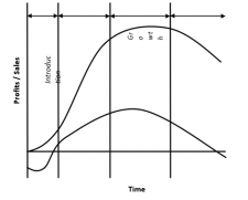 Strategic Choice – Strategic Management