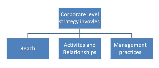 Cooperative Strategies – Strategic Management