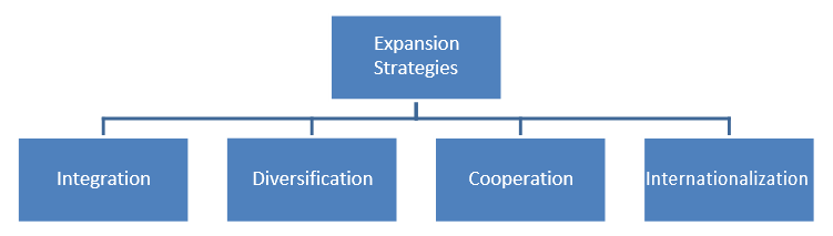 Cooperative Strategies – Strategic Management
