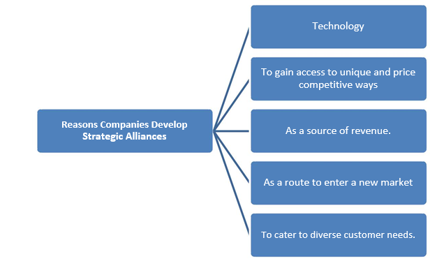 Cooperative Strategies – Strategic Management