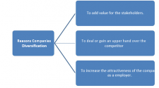 Cooperative Strategies – Strategic Management