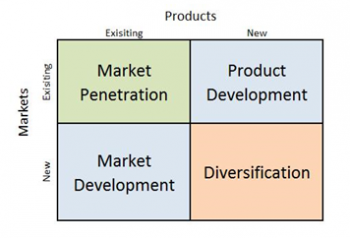 Diversification Strategy – Strategic Management