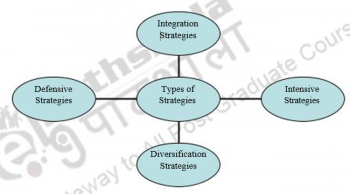 Intensive Strategies – Strategic Management