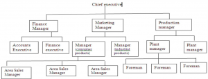 Functional Organisations – Principles and Practices of Management