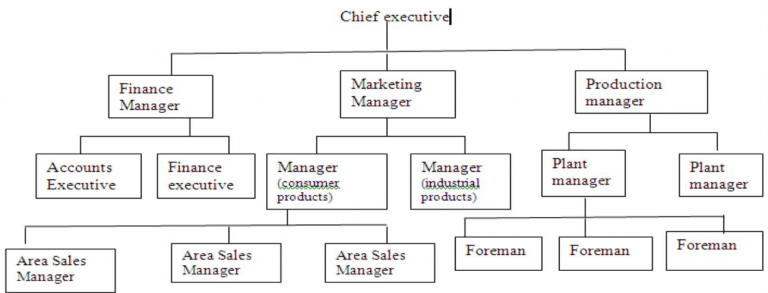 Functional Organisations – Principles and Practices of Management