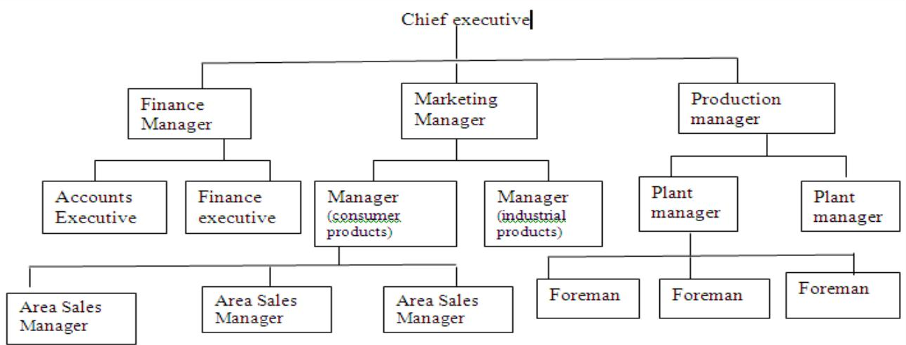 Functional Organisations – Principles and Practices of Management