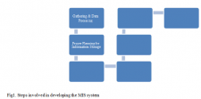 Developing MIS Systems – Management Information System