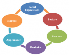 Kinesics or Body Language – Business Communication