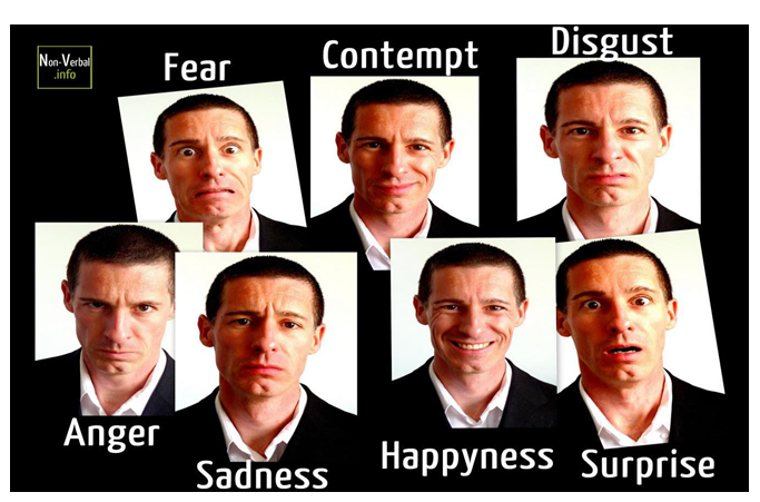 Kinesics or Body Language – Business Communication