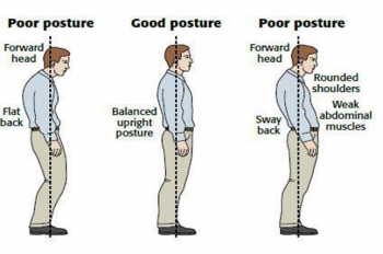 Kinesics or Body Language – Business Communication