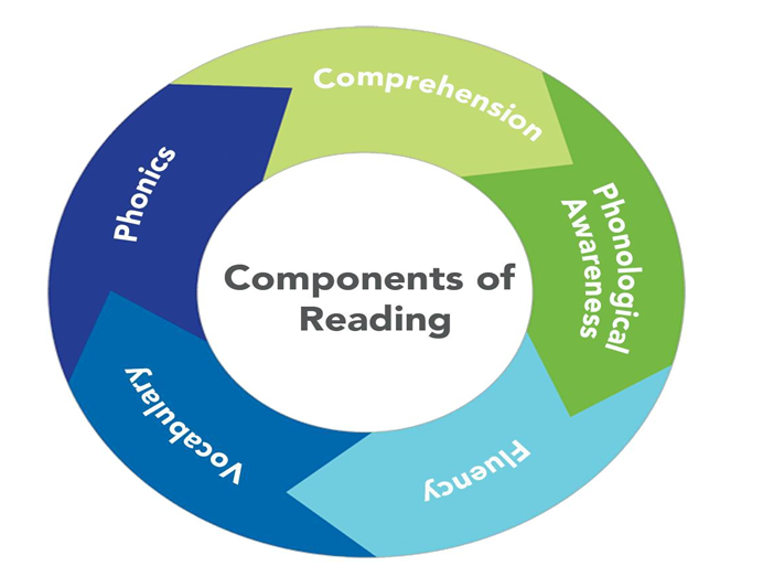 Components & Strategies of Effective Reading – Business Communication